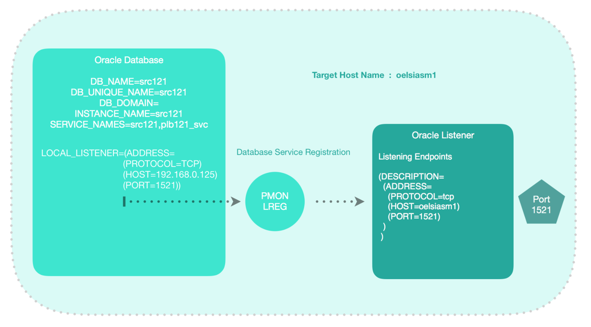 Perforce Support Portal