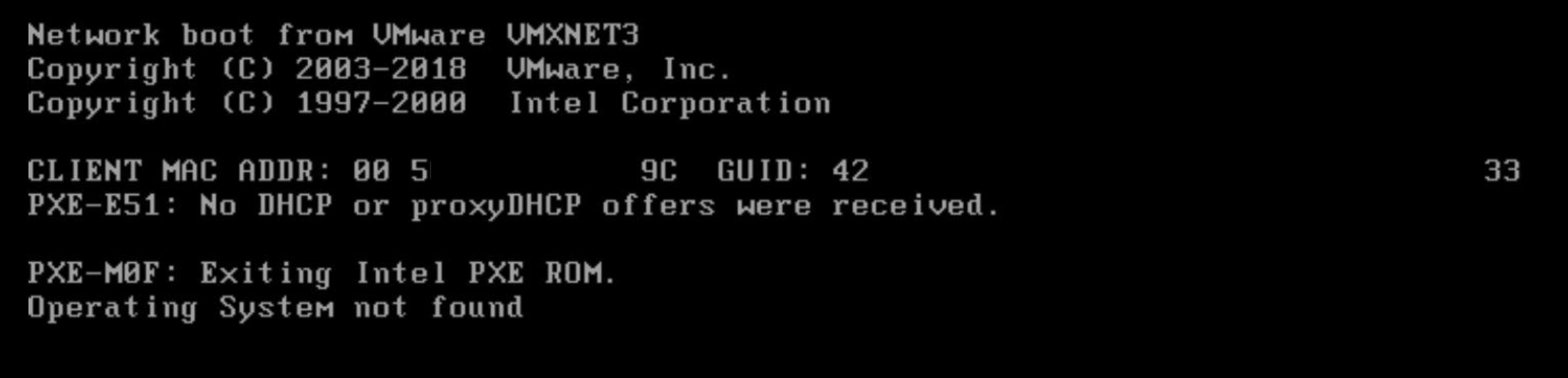 Operating System Not Found In Vmware Console After Delphix Engine