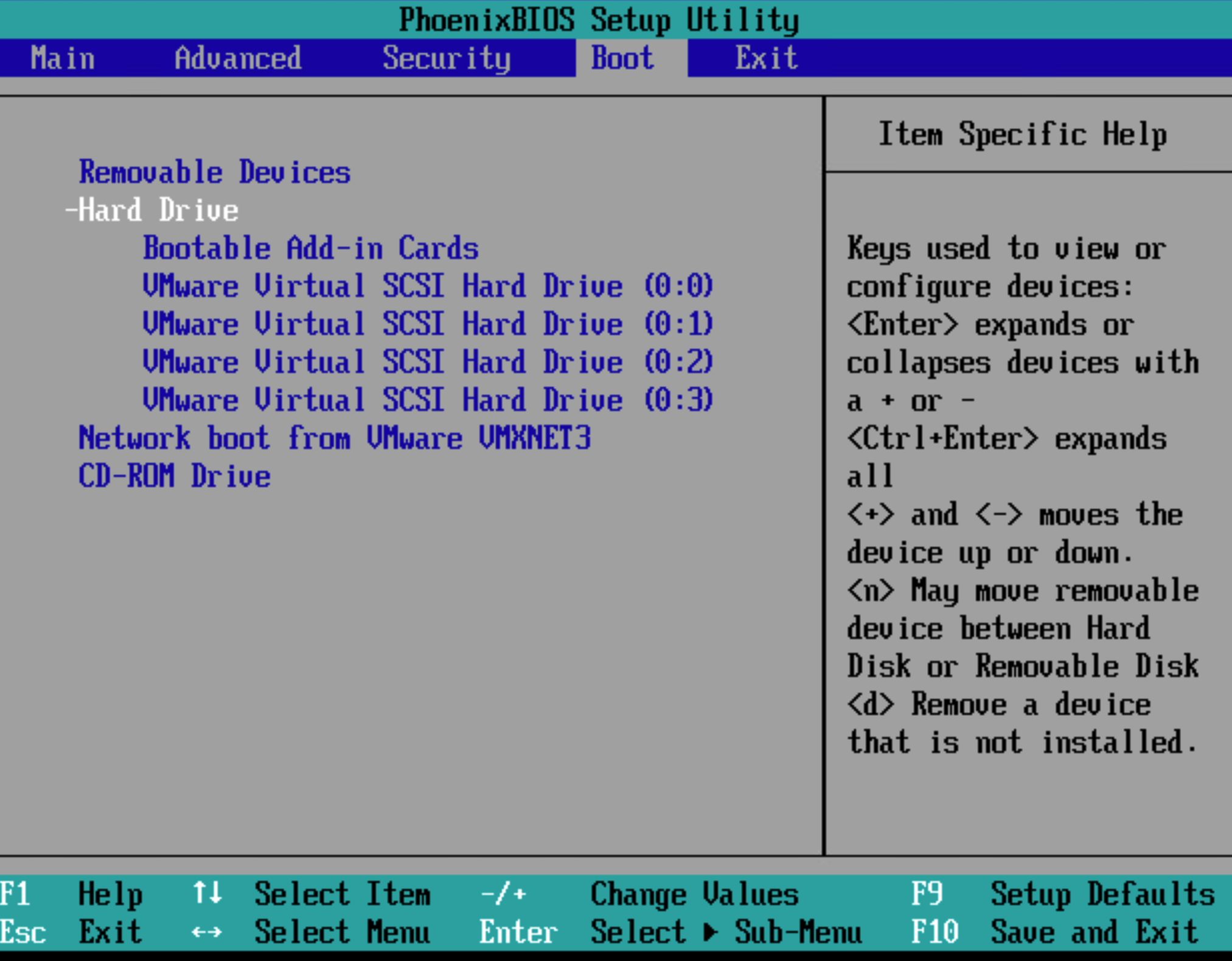 Operating System Not Found In Vmware Console After Delphix Engine