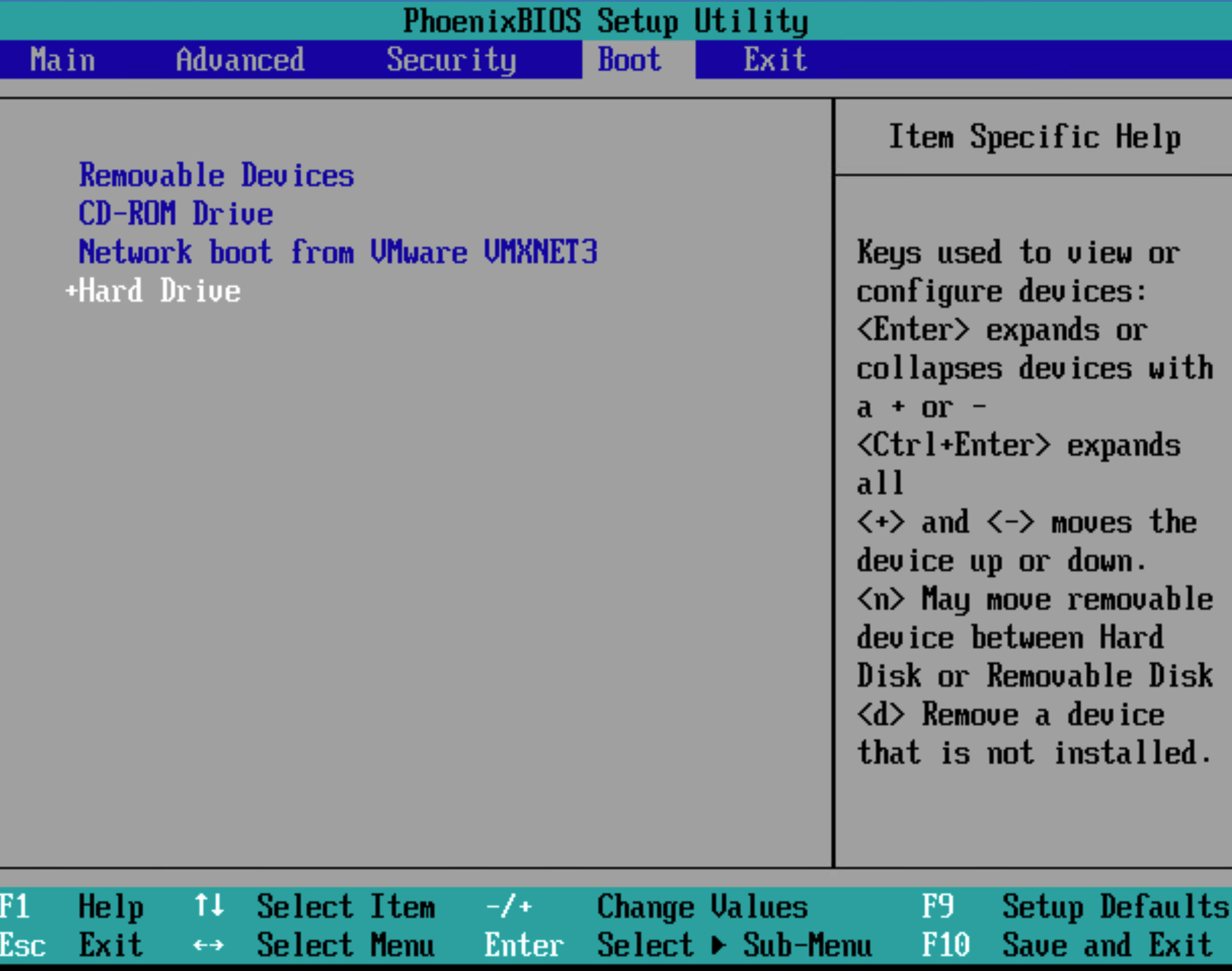 Operating System Not Found In Vmware Console After Delphix Engine